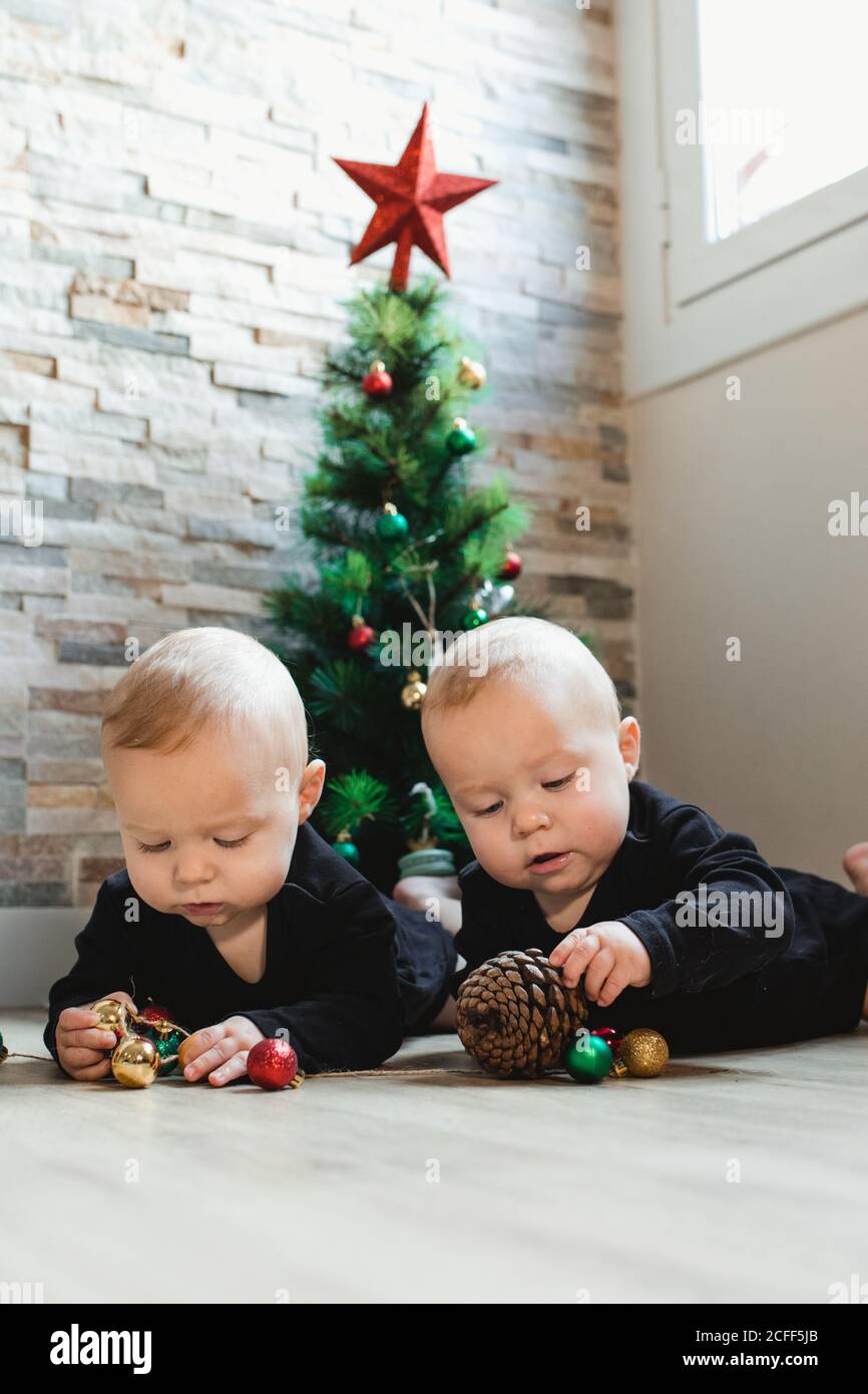 Twins tree hi-res stock photography and images - Alamy