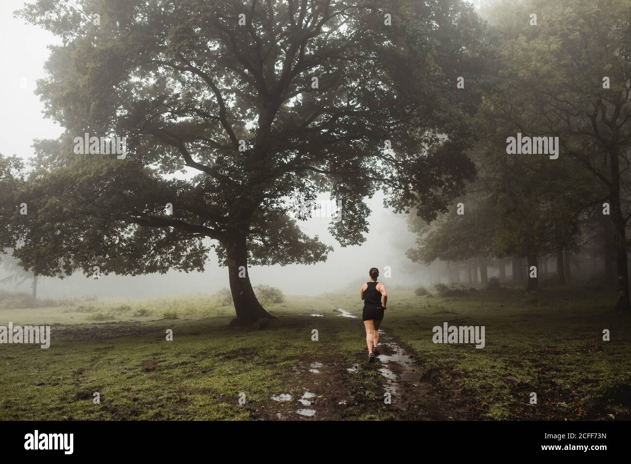 Fit Woman running along path in misty forest Stock Photo - Alamy