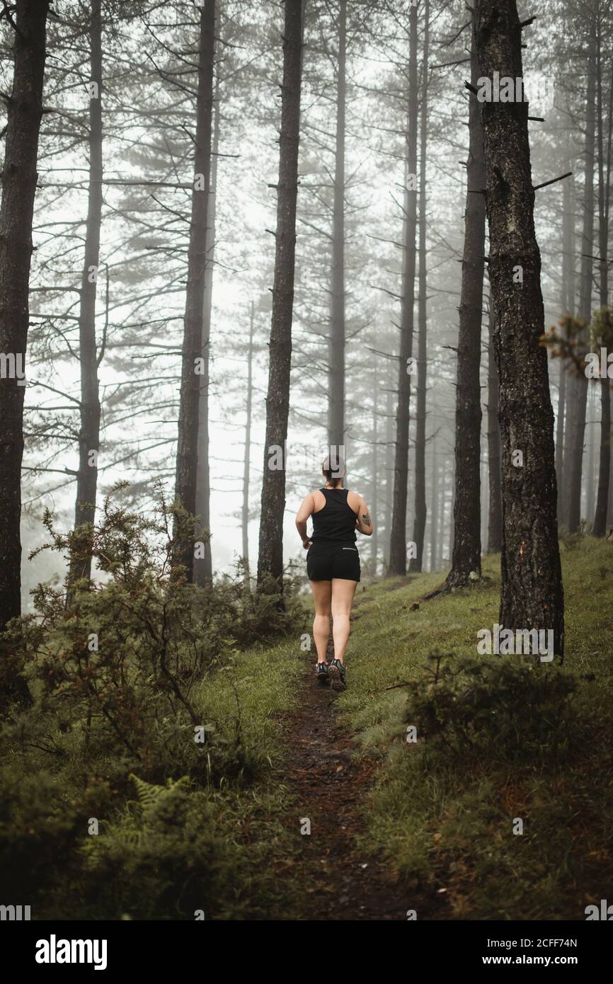 Fit Woman running along path in misty forest Stock Photo - Alamy
