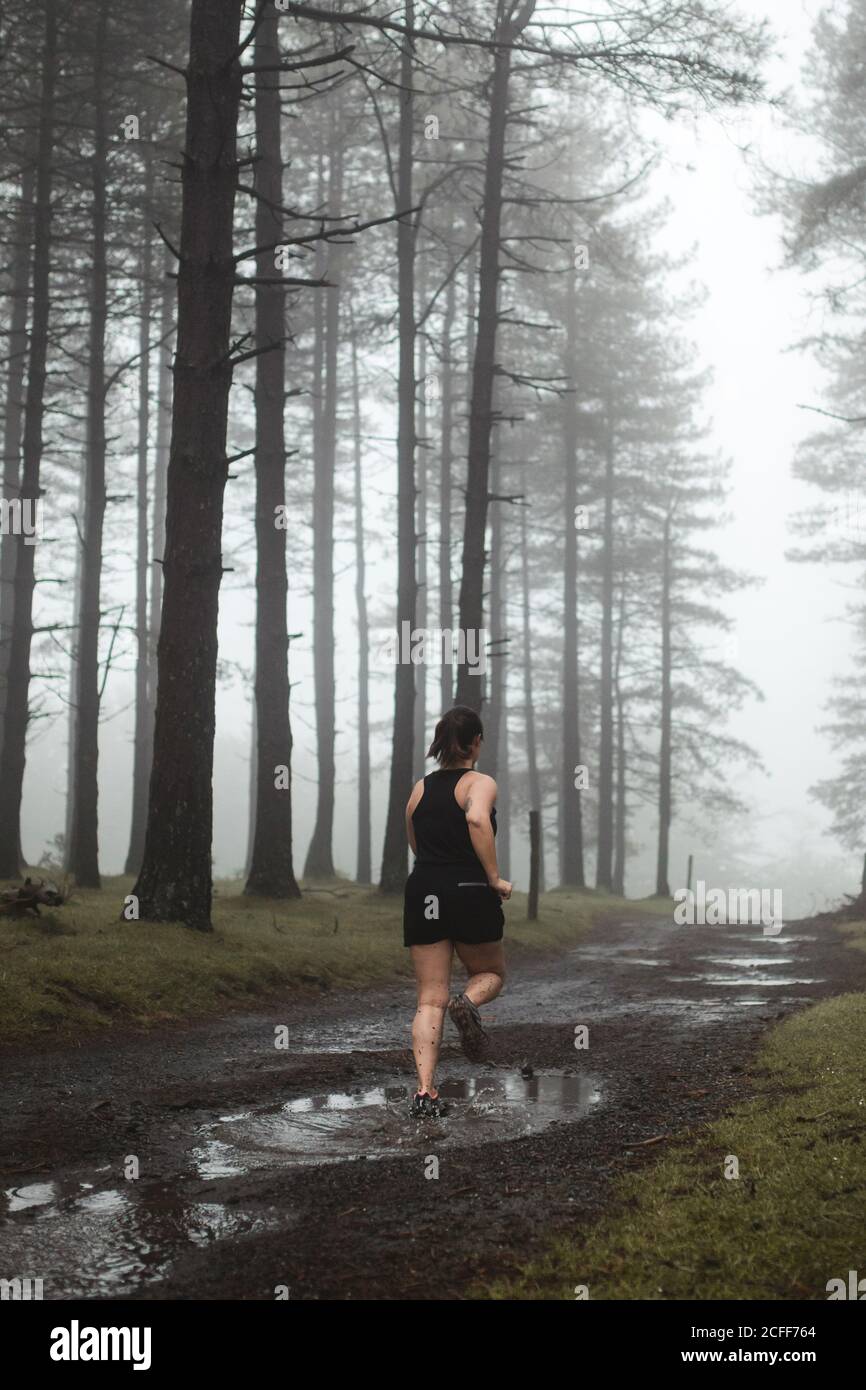 Through puddle hi-res stock photography and images - Alamy