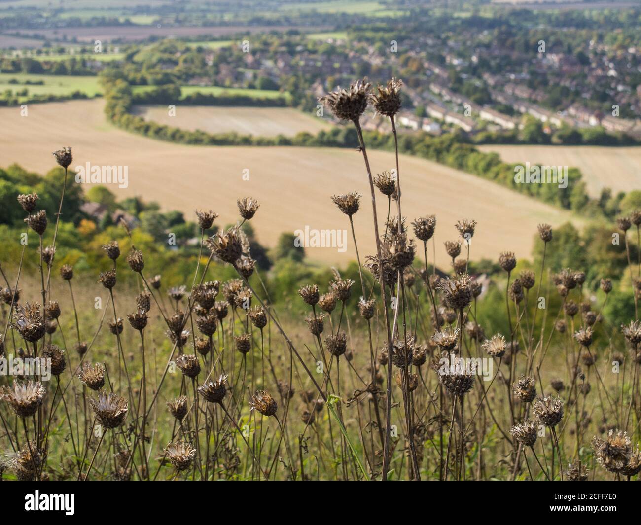 View towards Princes Risborough from Whiteleaf hill in the Chilterns ...