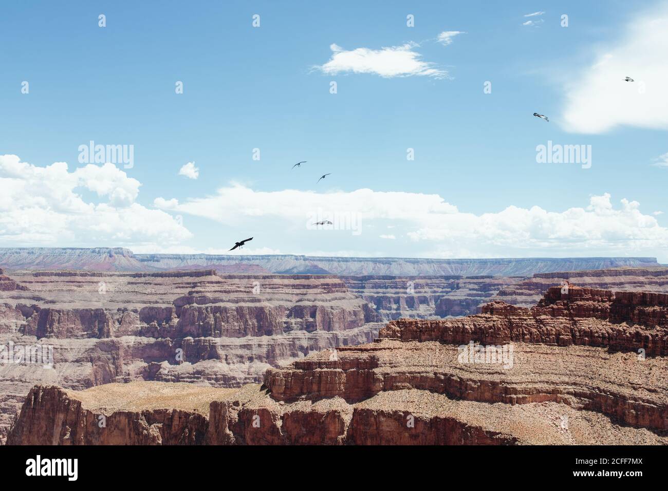 Female on rocky ground hi-res stock photography and images - Alamy