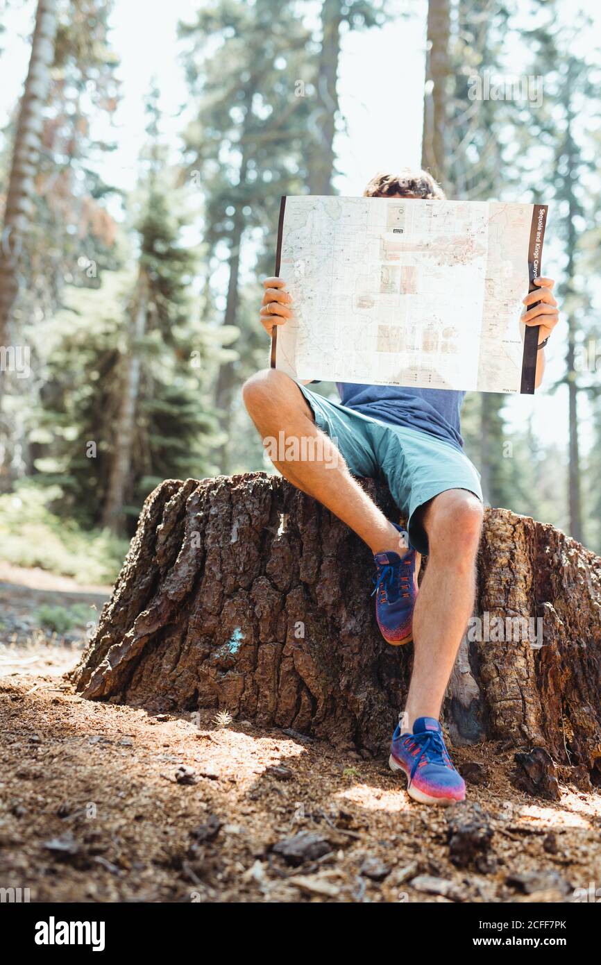 young man holding map and checking for road sitting on the woods Stock ...