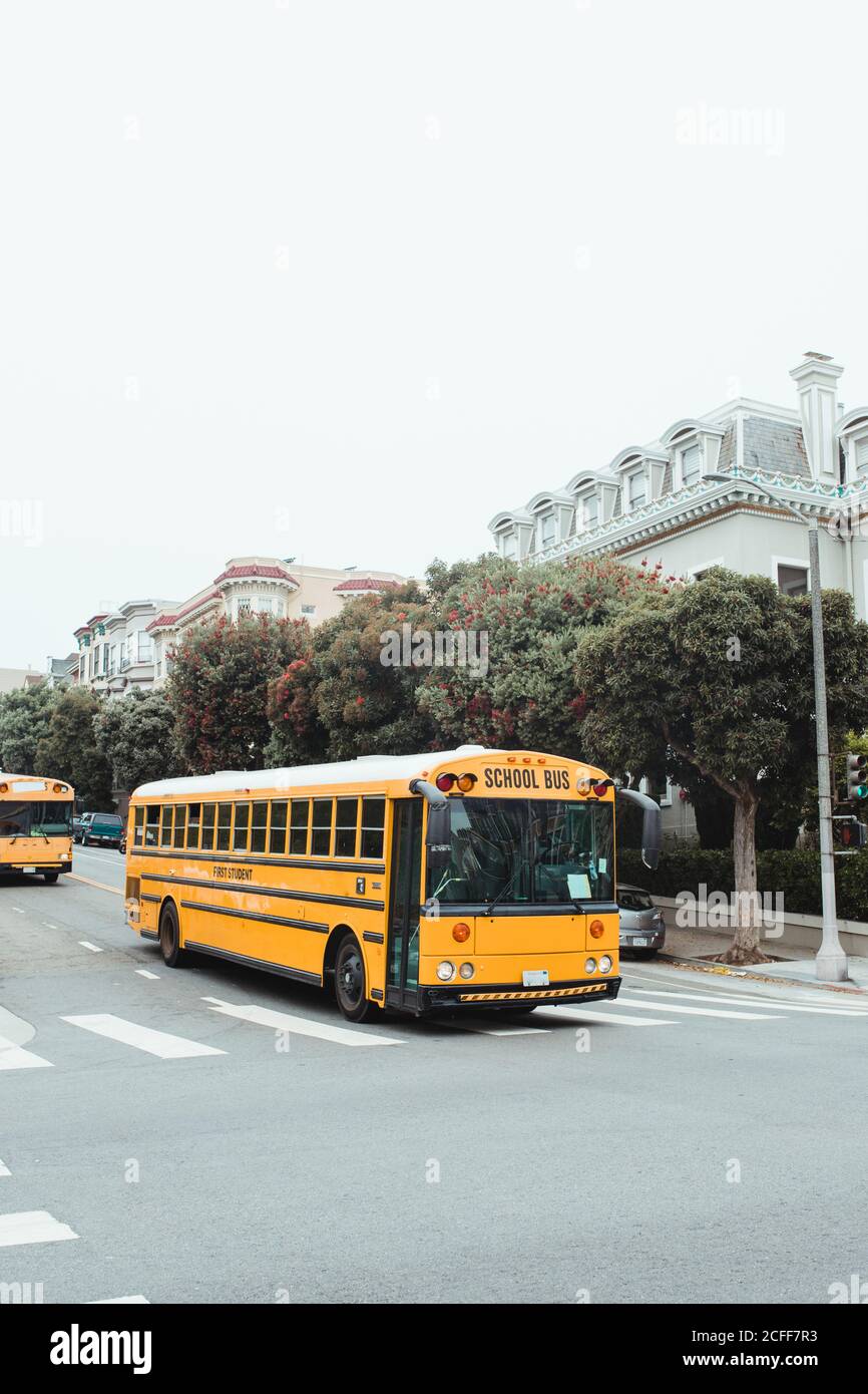 Large yellow buses passing pedestrian markings on road in turn along ...