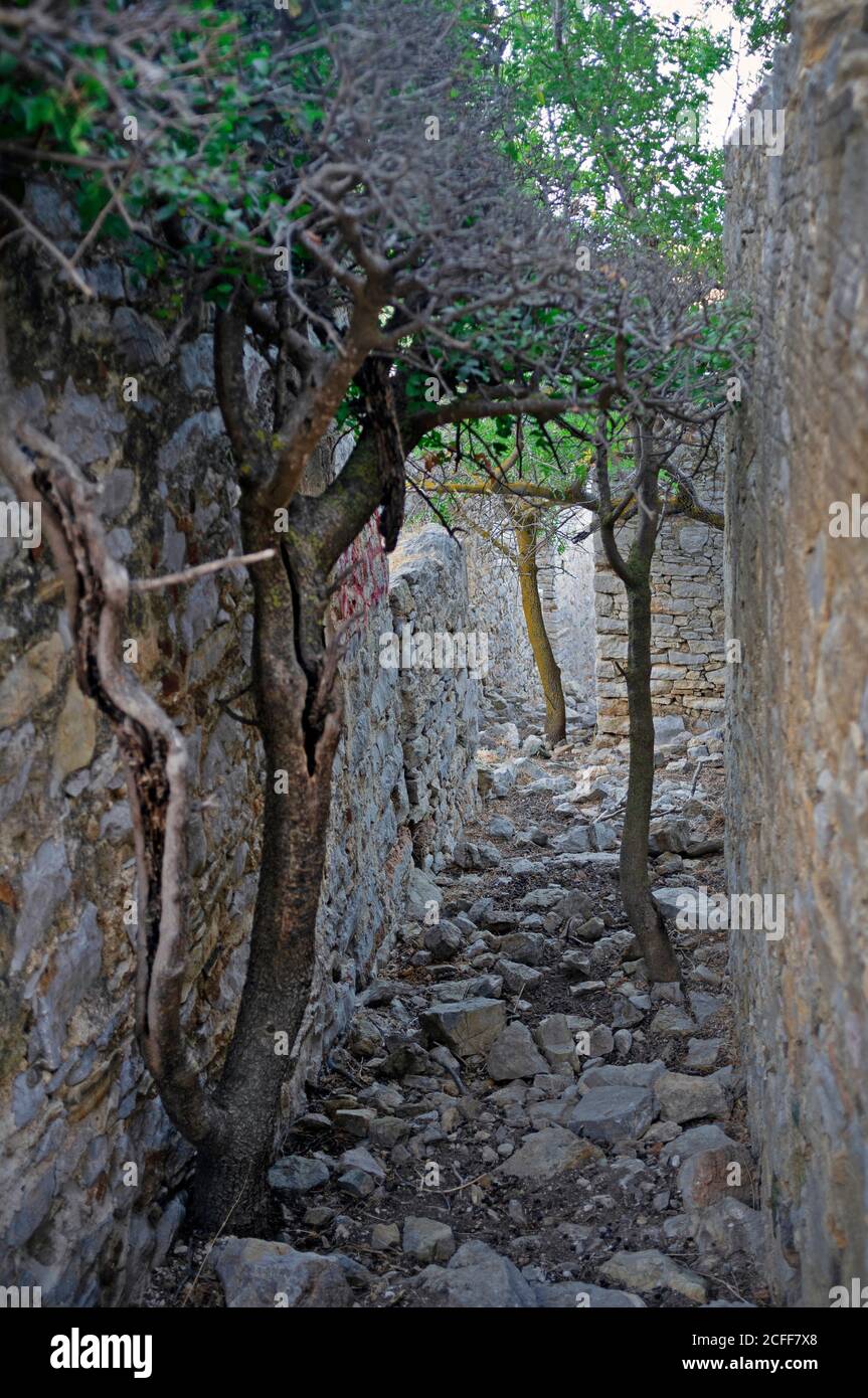 The abandoned village of Mikro Chorio on the Greek island of Tilos ...