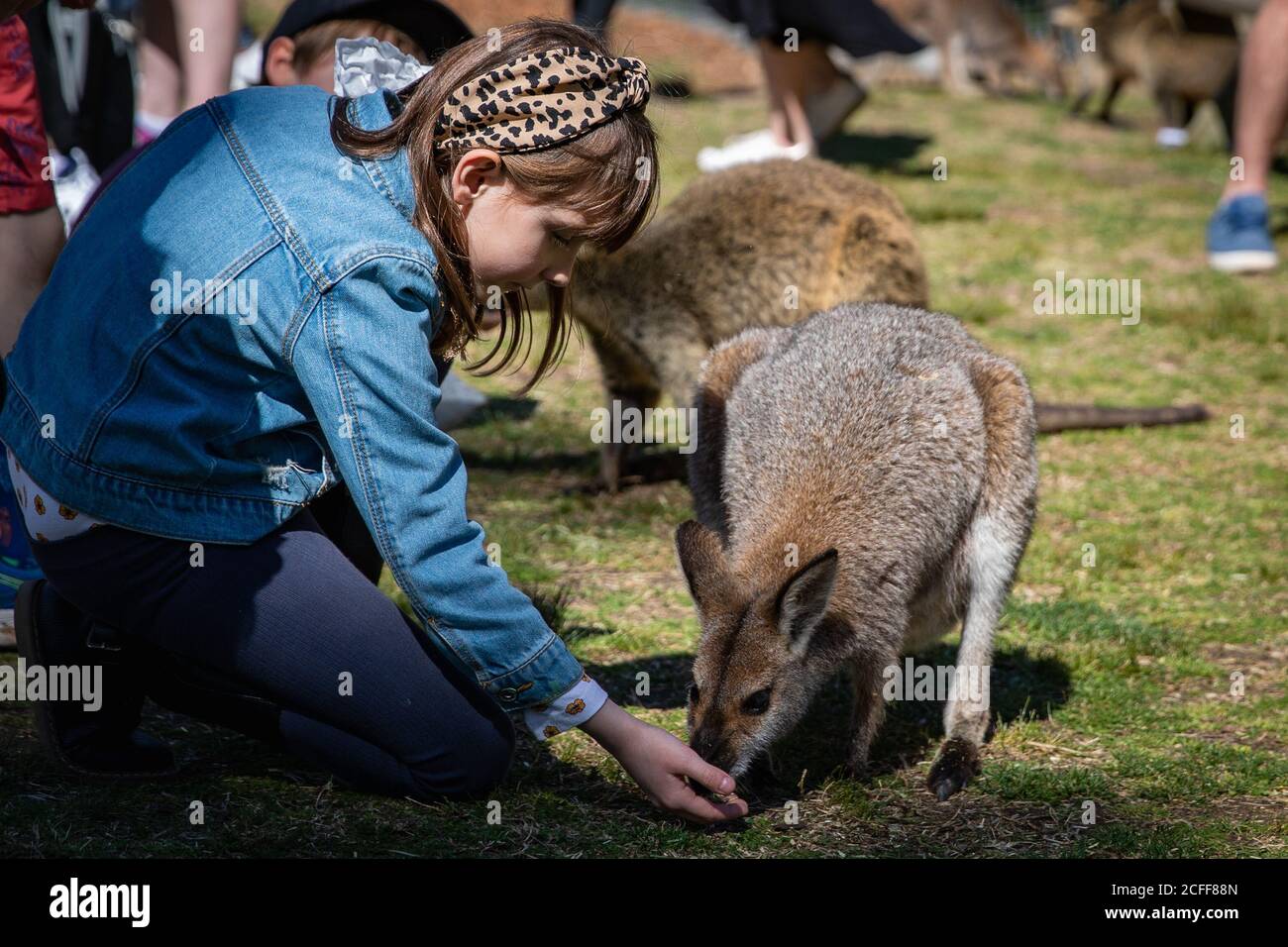 Sydney, Australia. 5th Sep, 2020. People visit Symbio Wildlife Park ...