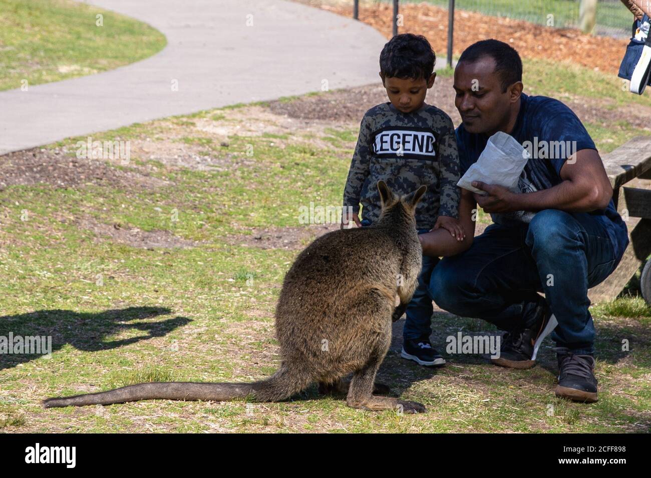 Symbio park hi-res stock photography and images - Alamy