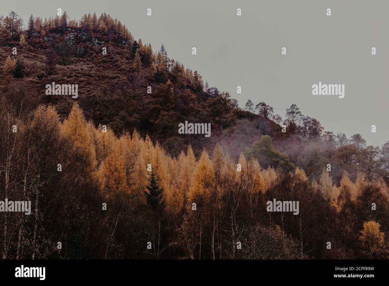 Landscape autumnal trees hill hi-res stock photography and images - Alamy