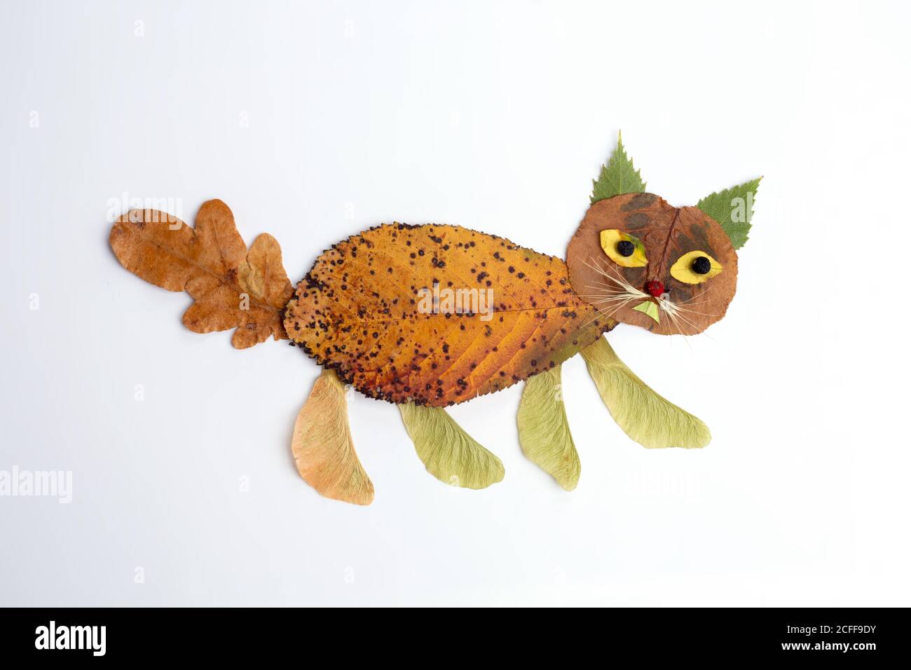 autumn nature craft for kids, cat made of leaf, top view, activity for ...