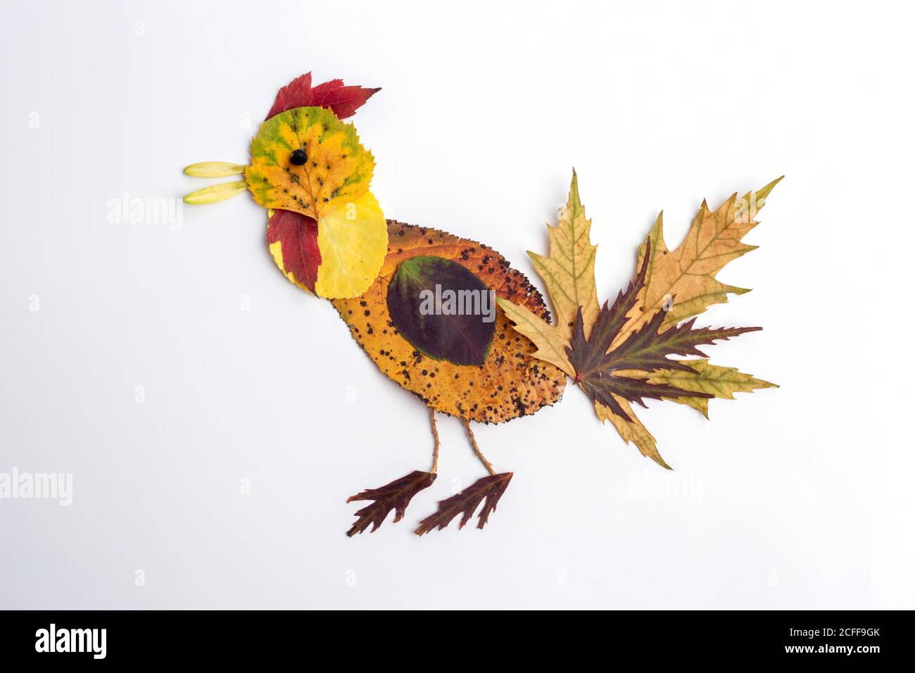 autumn nature craft for kids, bird made of dry leaf, top view, activity ...