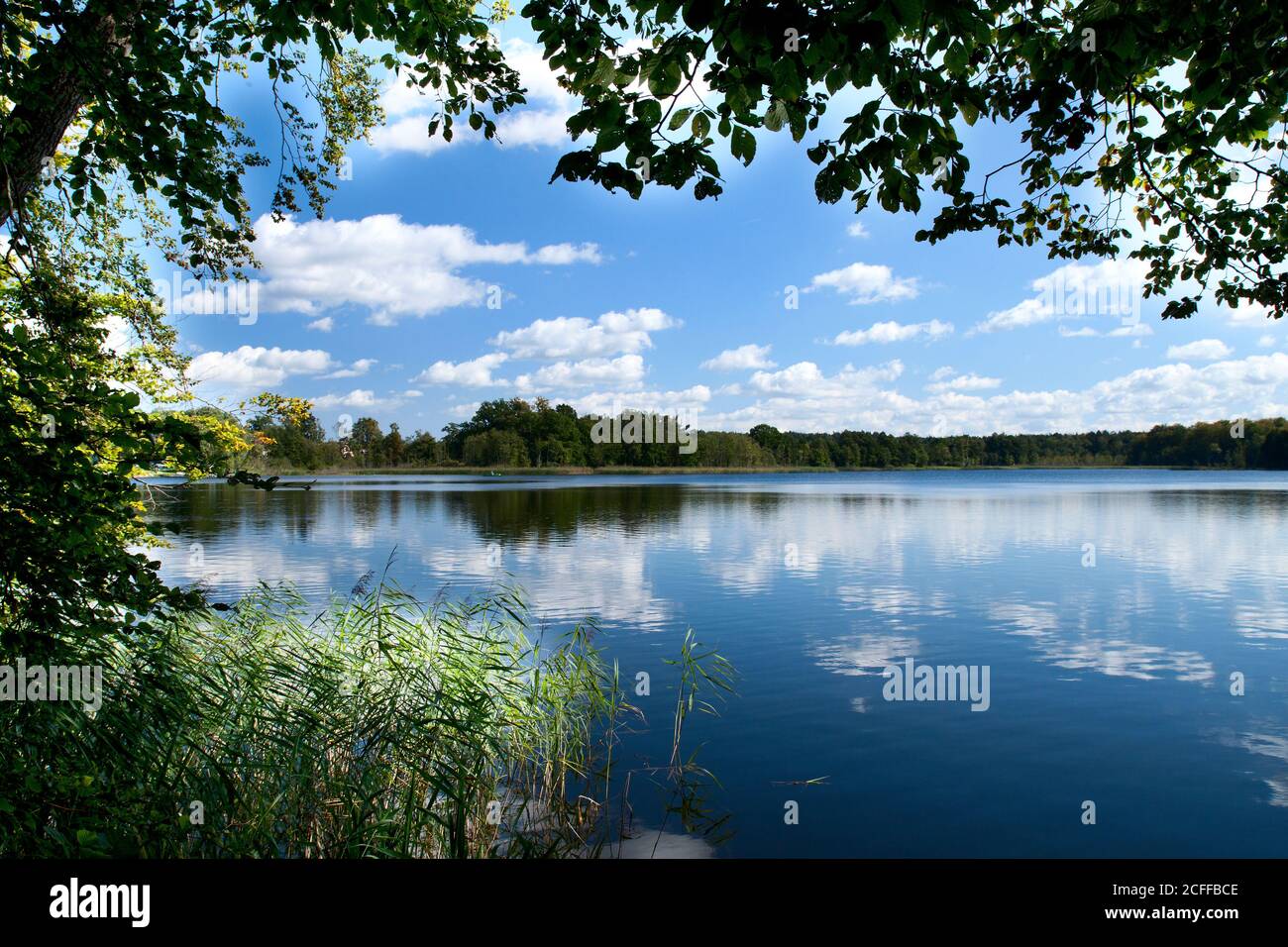Summer scenic with countryside lake Stock Photo - Alamy