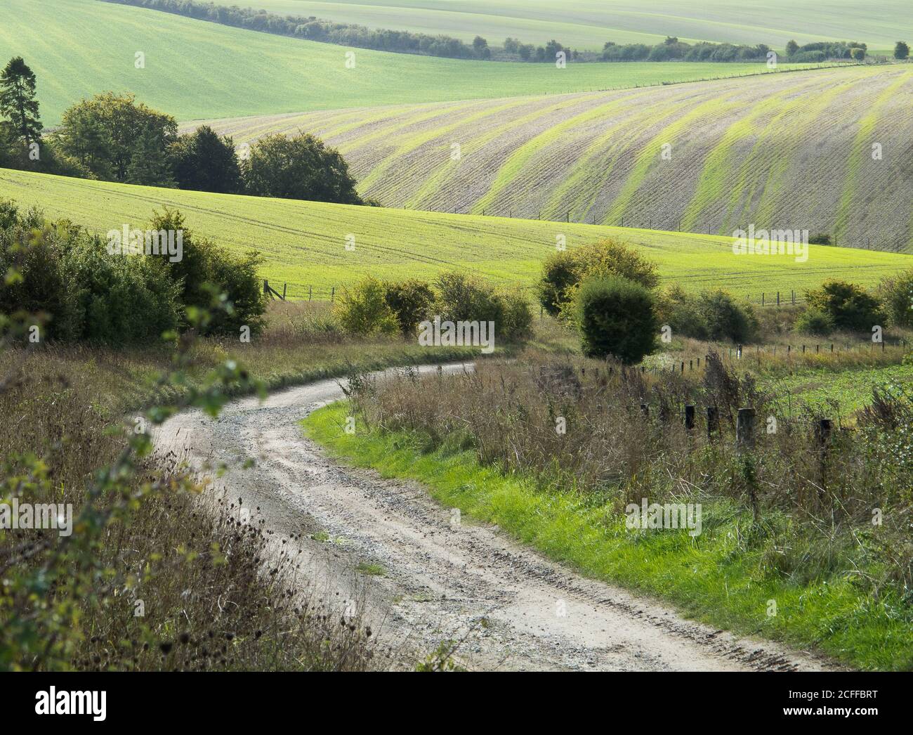 Ridgeway uk autumn hi-res stock photography and images - Alamy