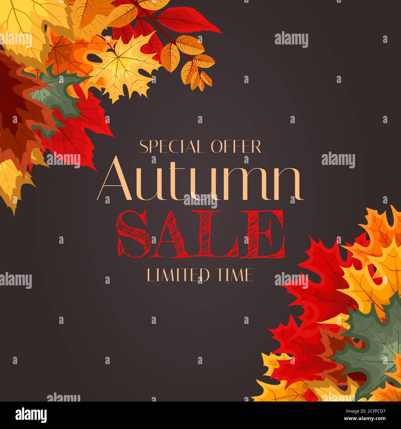 Autumn Background Template with leaves. Special offer. Limited Time ...
