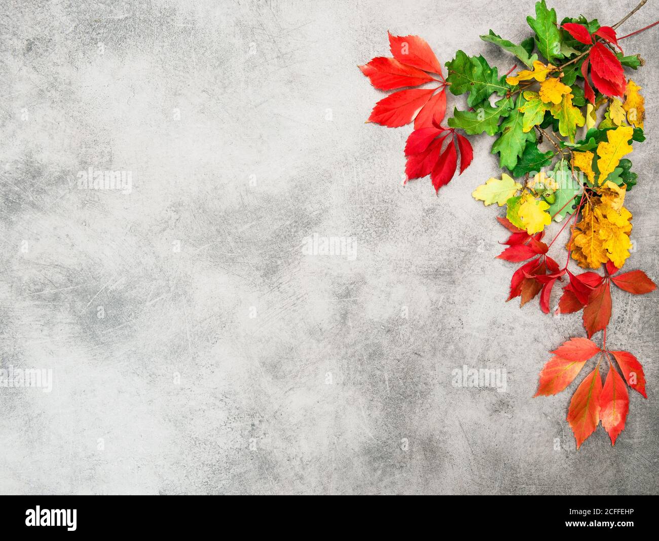 Autumn leaves on grey stone texture. Fall background Stock Photo - Alamy