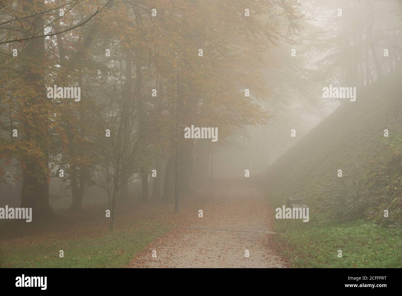 Misty way along dark autumn park in overcast weather Stock Photo - Alamy