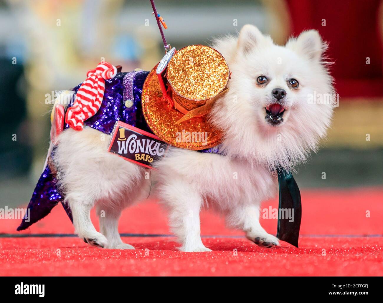 Willy wonka hi-res stock photography and images - Alamy
