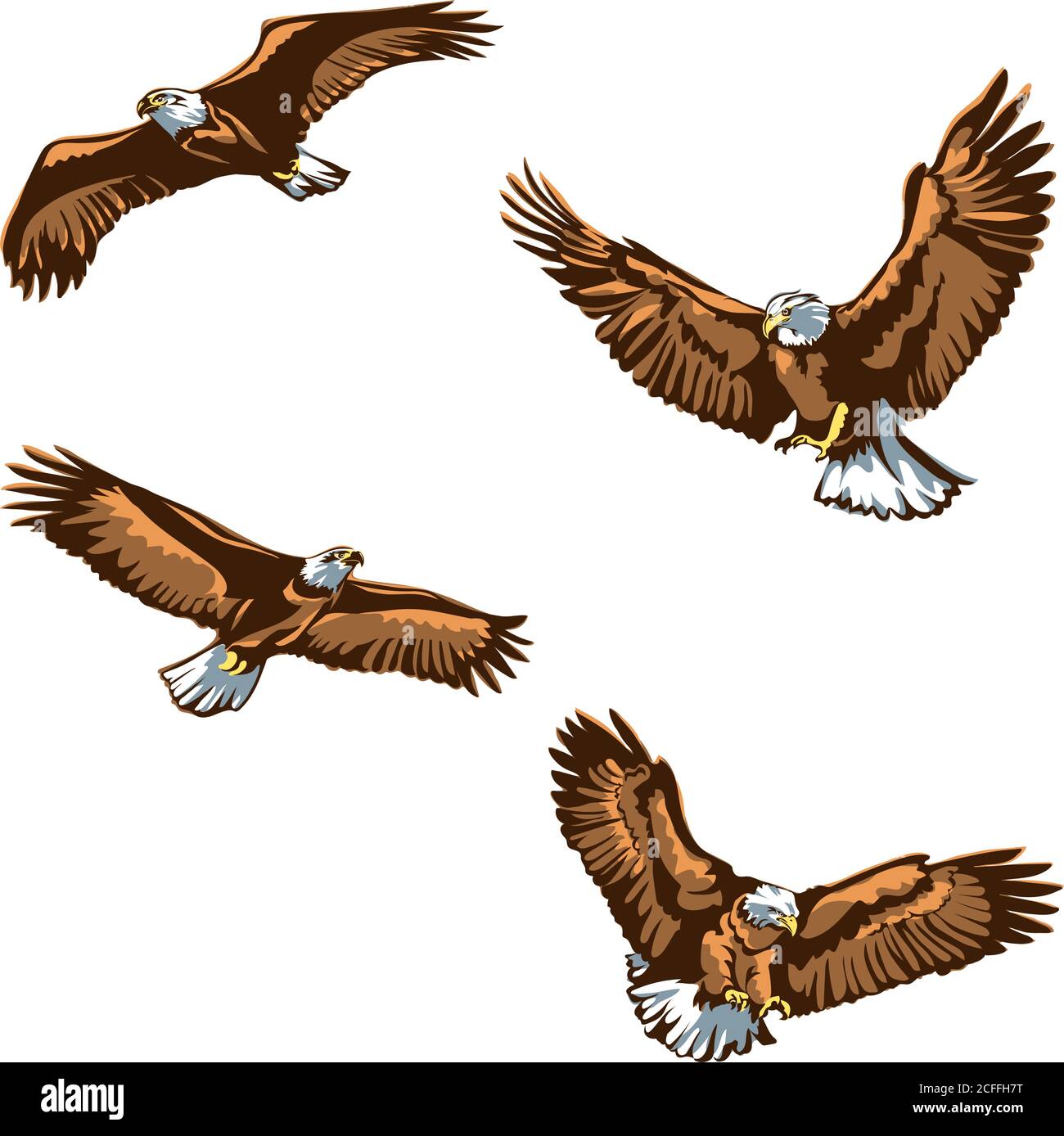 Flying Eagle Graphic