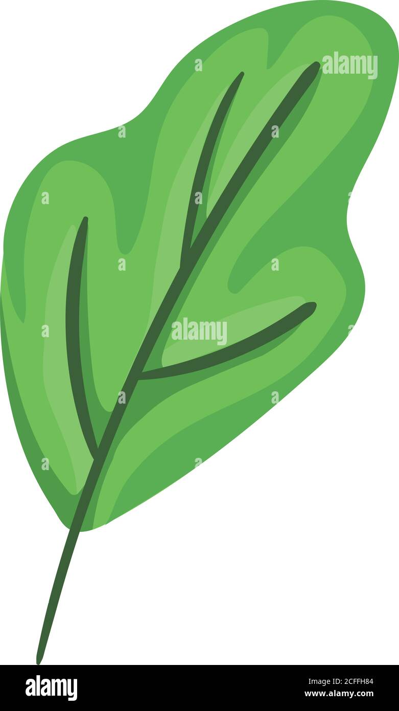 Isolated autumn leaf vector design Stock Vector Image & Art - Alamy