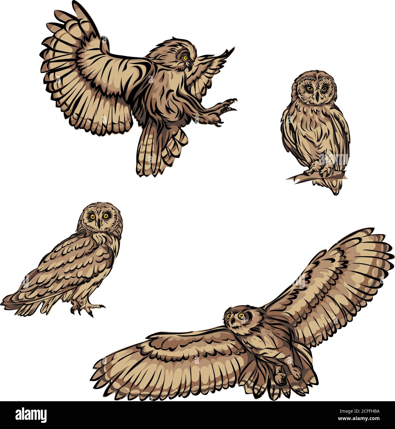 owl, bird, image, graphics, color, black, illustration, design, symbol ...