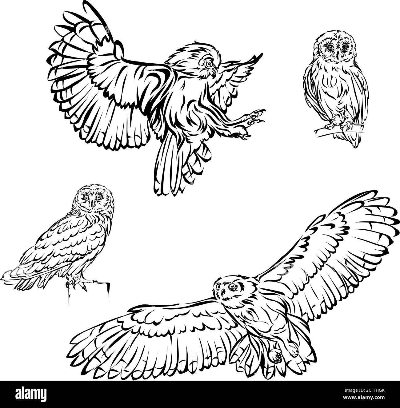 Flight graphics Black and White Stock Photos & Images - Alamy