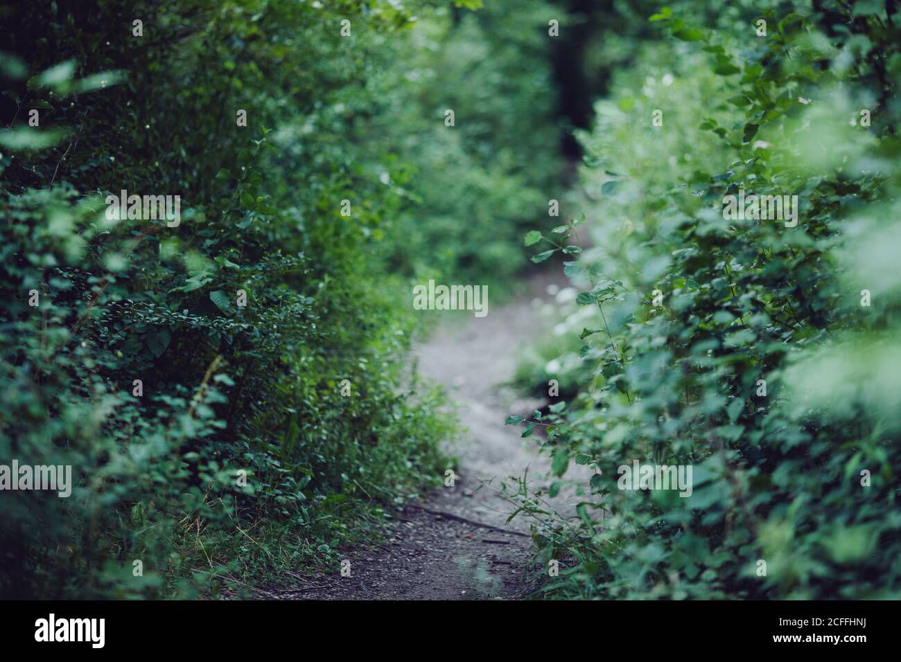 Curved pathway hi-res stock photography and images - Alamy