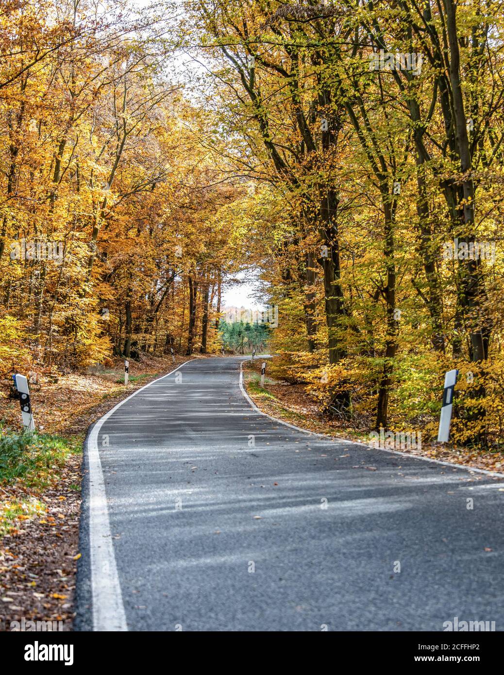 Winding Road Through The Woods In The Fall High Resolution Stock ...