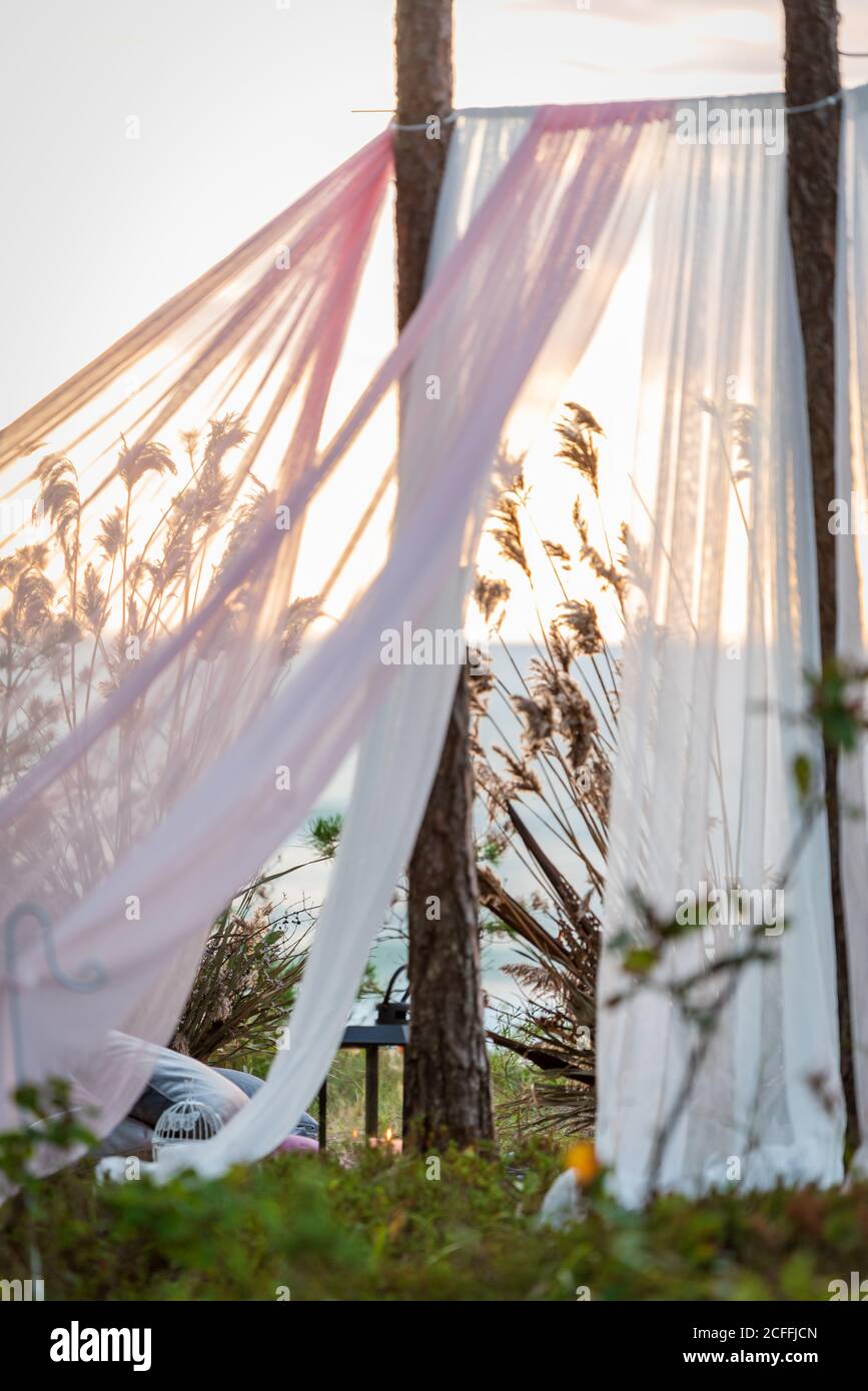 veils fluttering between the trees in the wind in the forest on the sea ...