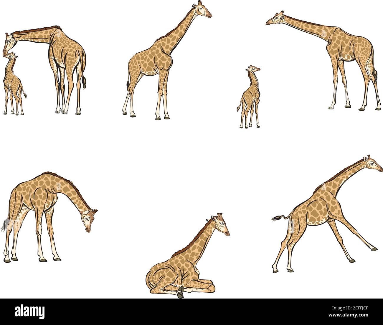 10 Stages Of Death Giraffe Clipart