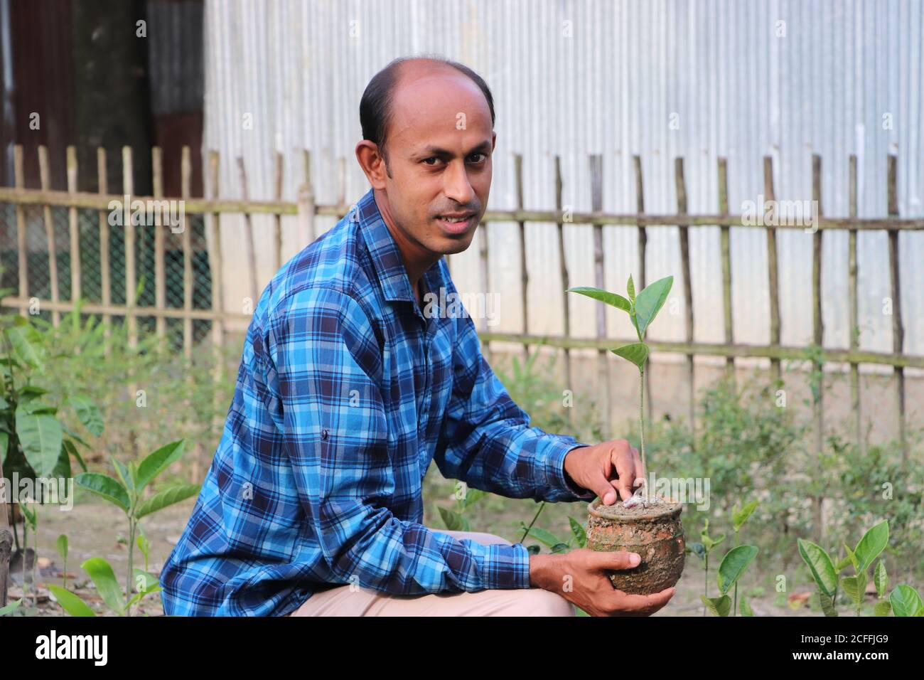 Jackfruit seedling hi-res stock photography and images - Alamy