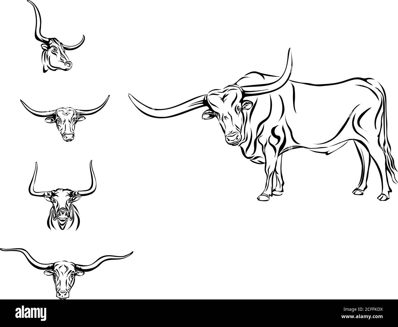 buffalo, bull, head, horns, vector, picture, drawing, black, animal ...