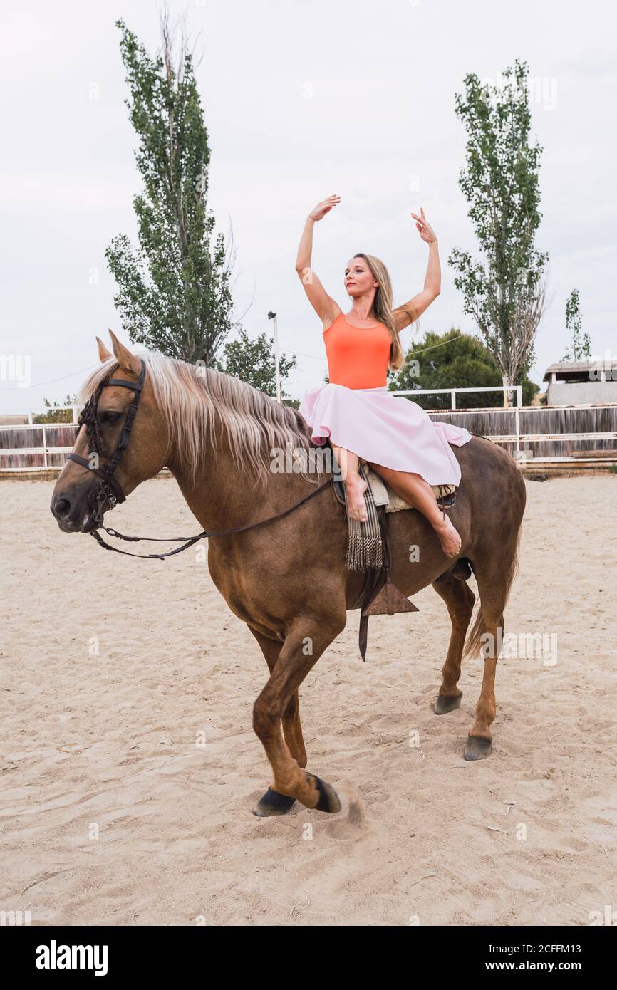 Barefoot horse walking hi-res stock photography and images - Alamy