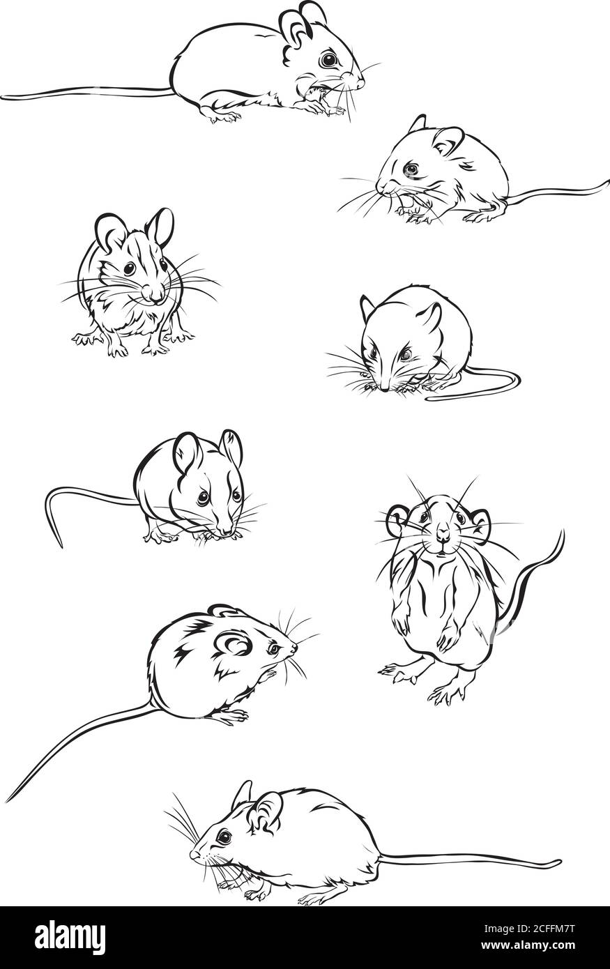Mice, rat, various poses, movements and angles of figures, black ...