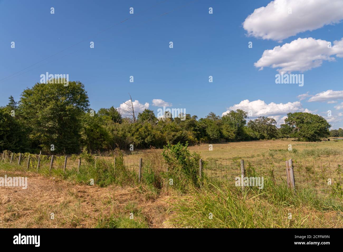 View of Typical Ranch Fence Bordering Farm property Stock Photo - Alamy