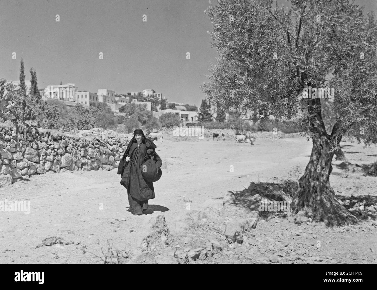 "Middle East History - ""Ruth"" story. ""Ruth"" story. ""Ruth ...