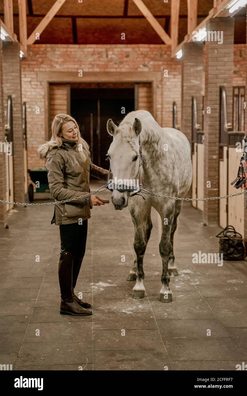 Woman hugging horse with long mane in face in stable Stock Photo - Alamy