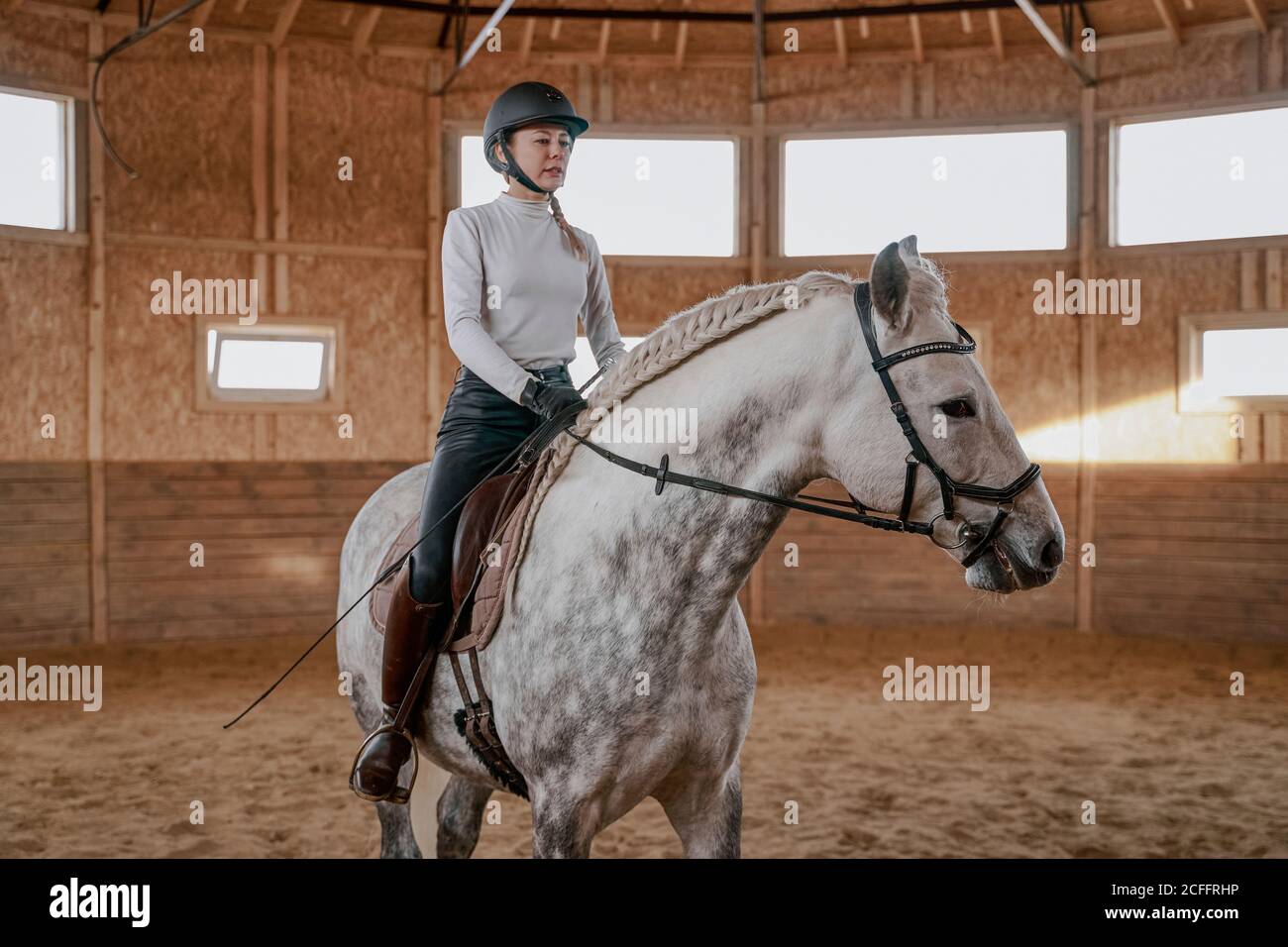 Gray stallion horse rider riding hi-res stock photography and images ...
