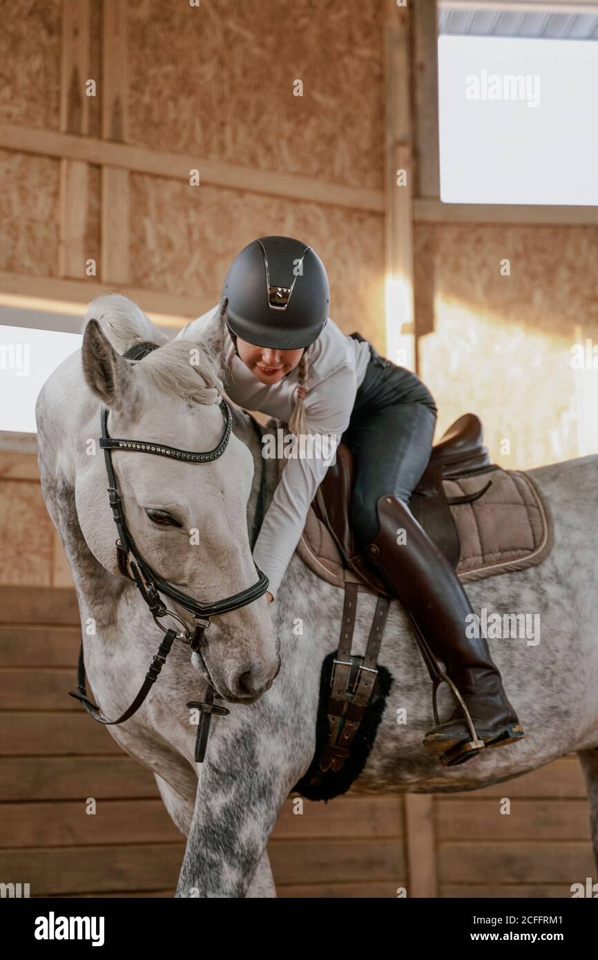 Gray stallion horse rider riding hi-res stock photography and images ...