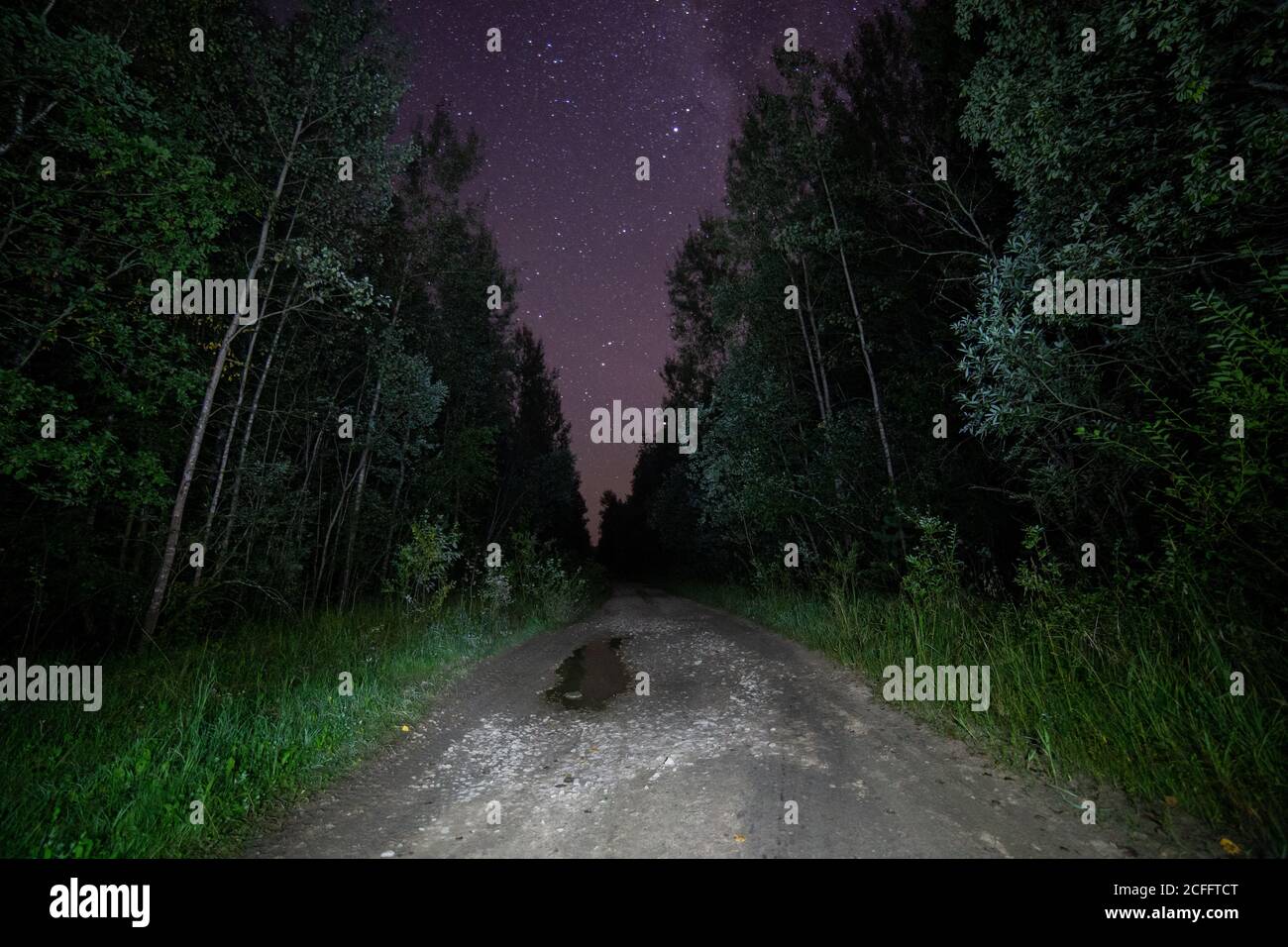 Dark Forest Road Night High Resolution Stock Photography and Images - Alamy
