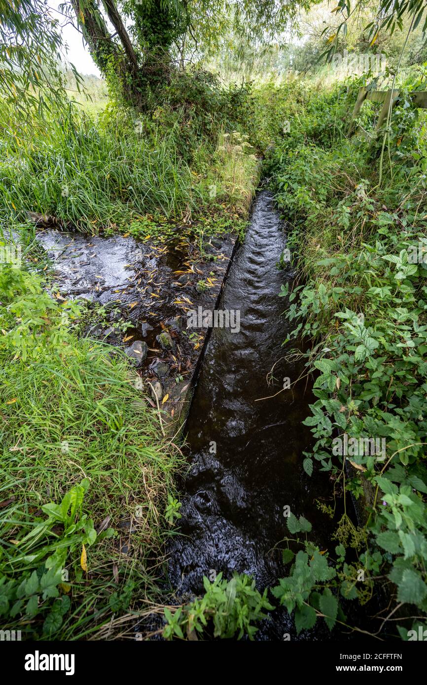 Wetland beside the canal hi-res stock photography and images - Alamy