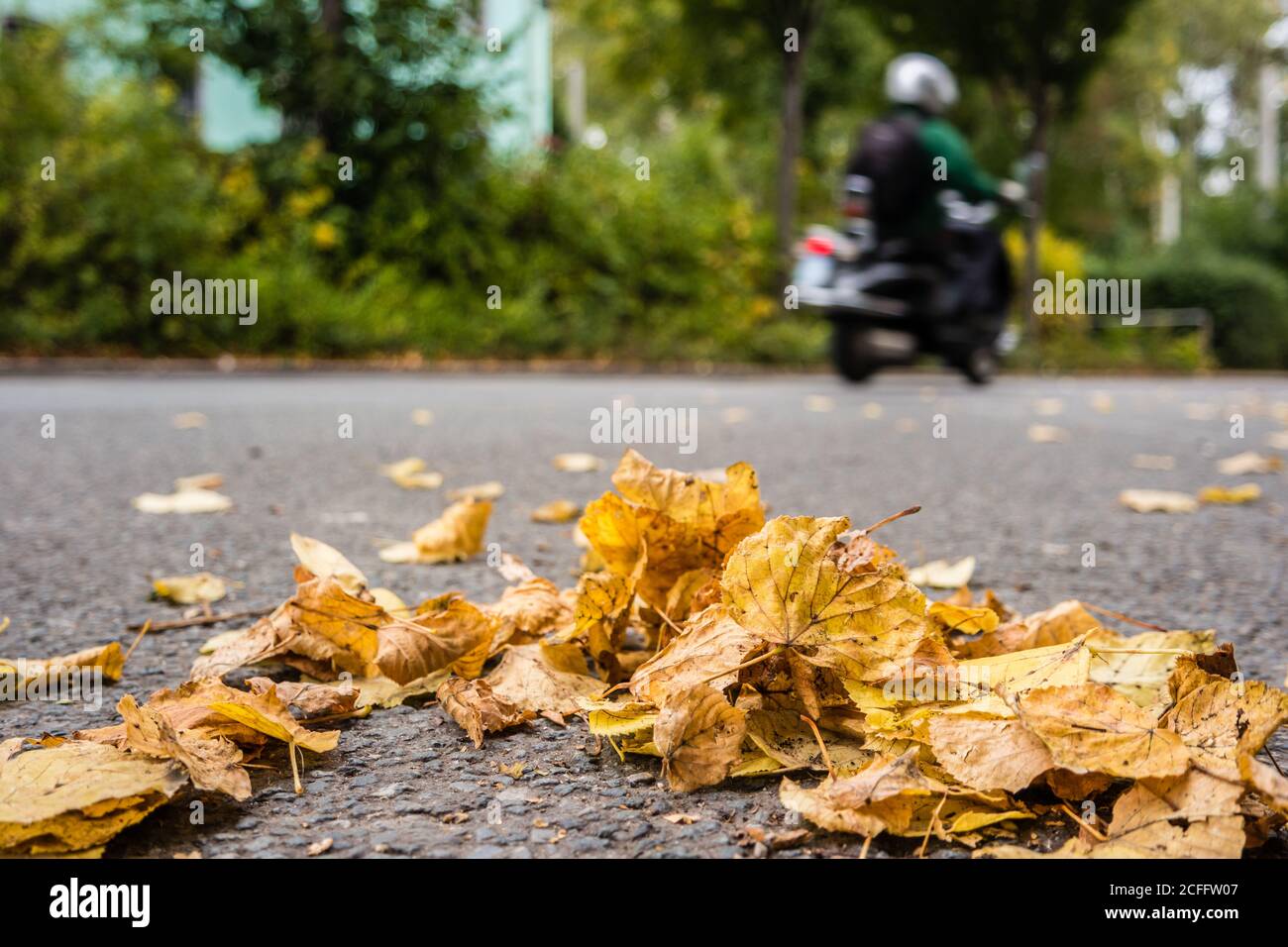 Motorcycle in the autumn leaves hi-res stock photography and images - Alamy