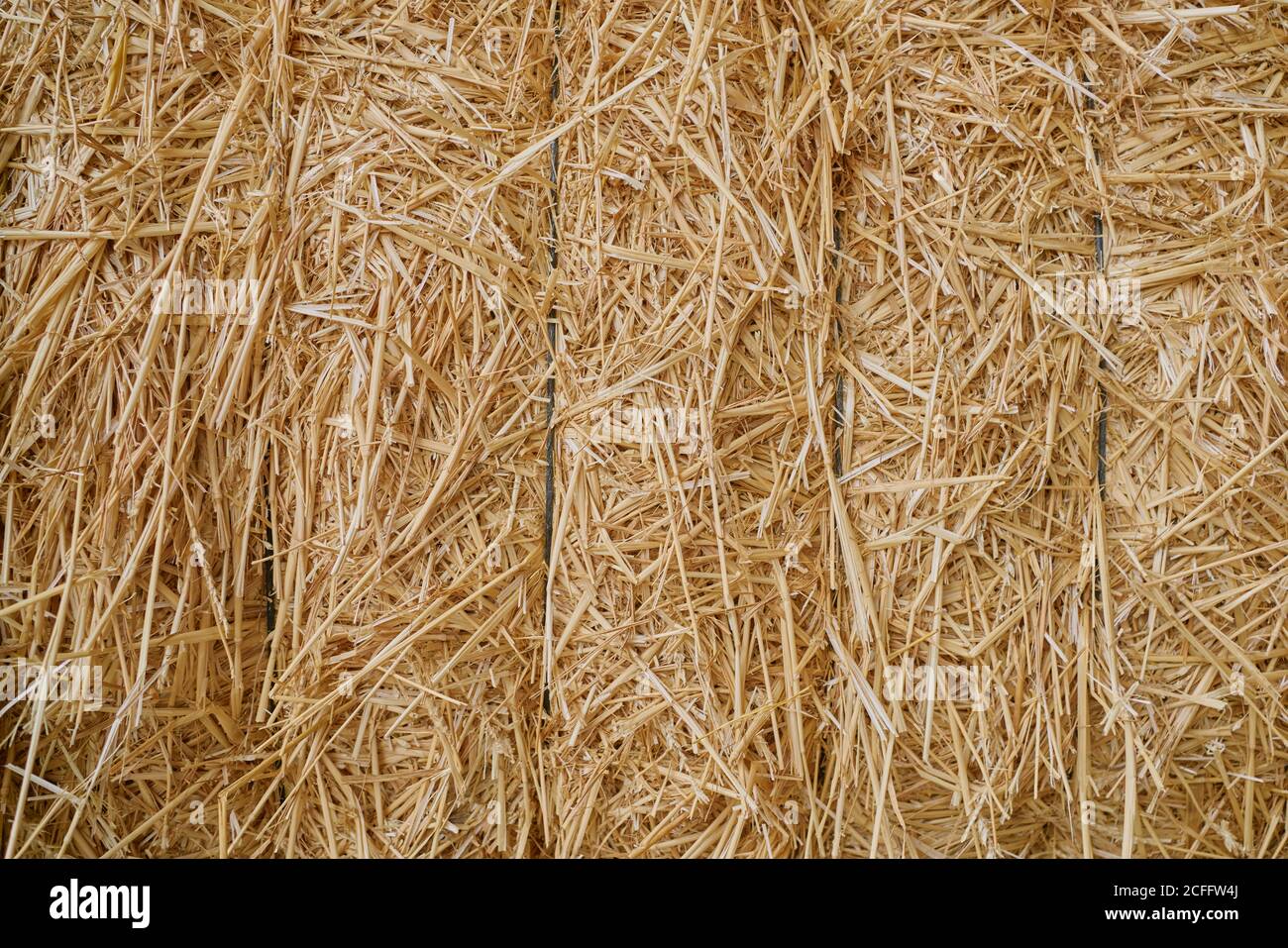 Closeup of dry hay stack placed inside barn in farm in countryside ...