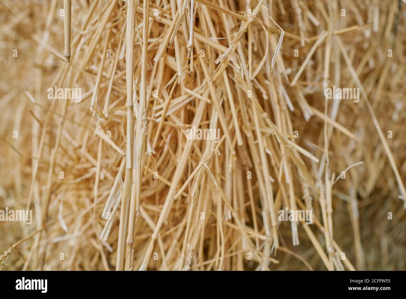 Hay stack in modern farm Stock Photo - Alamy
