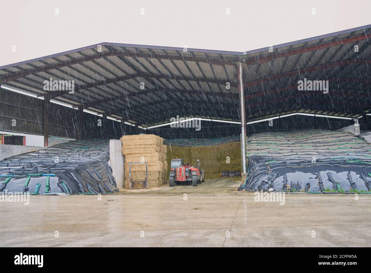 Cow barn hi-res stock photography and images - Alamy