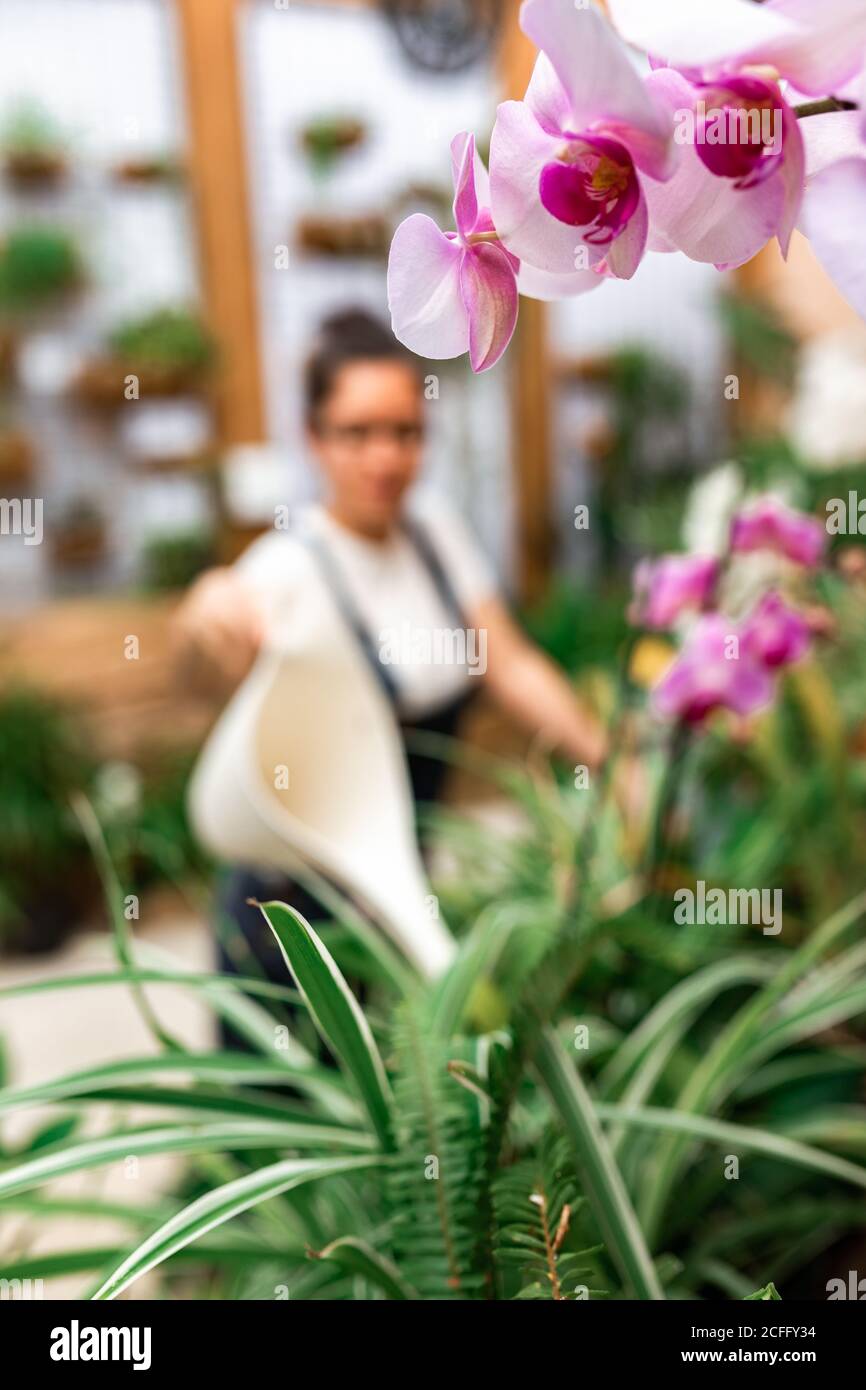 Side view of blurred anonymous female gardener smiling and watering ...