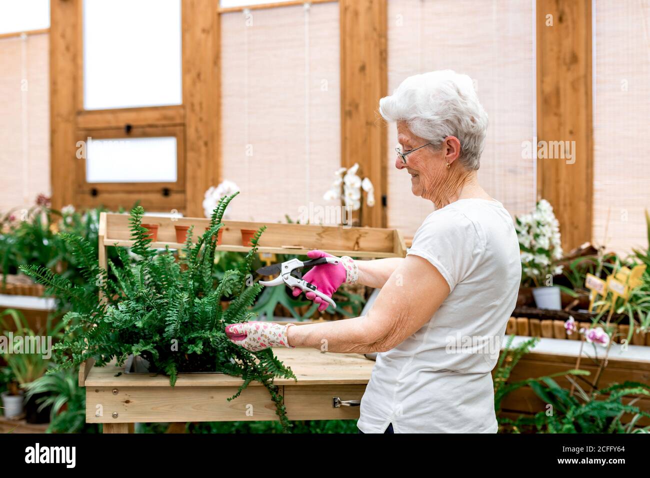 Cutting leaves hi-res stock photography and images - Alamy