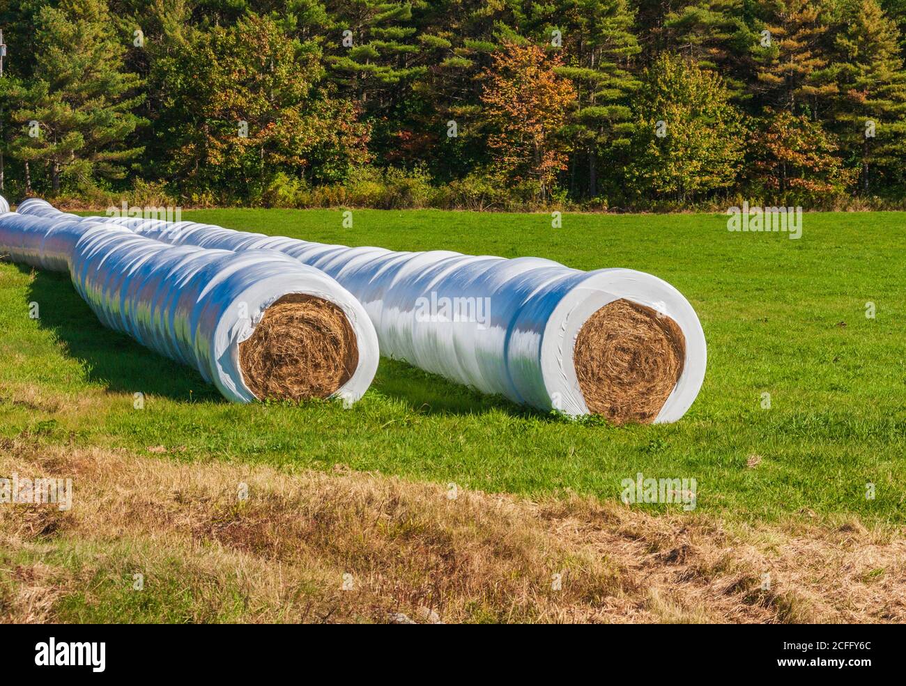 Hay bales protection hi-res stock photography and images - Alamy