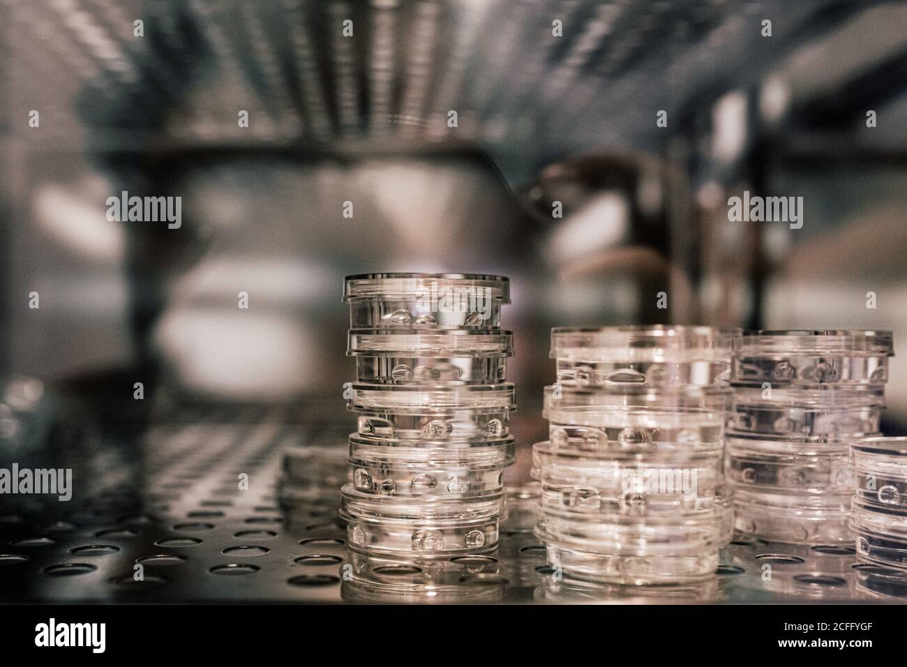 Stacks of Petri dishes with fertilized embryos placed inside ...