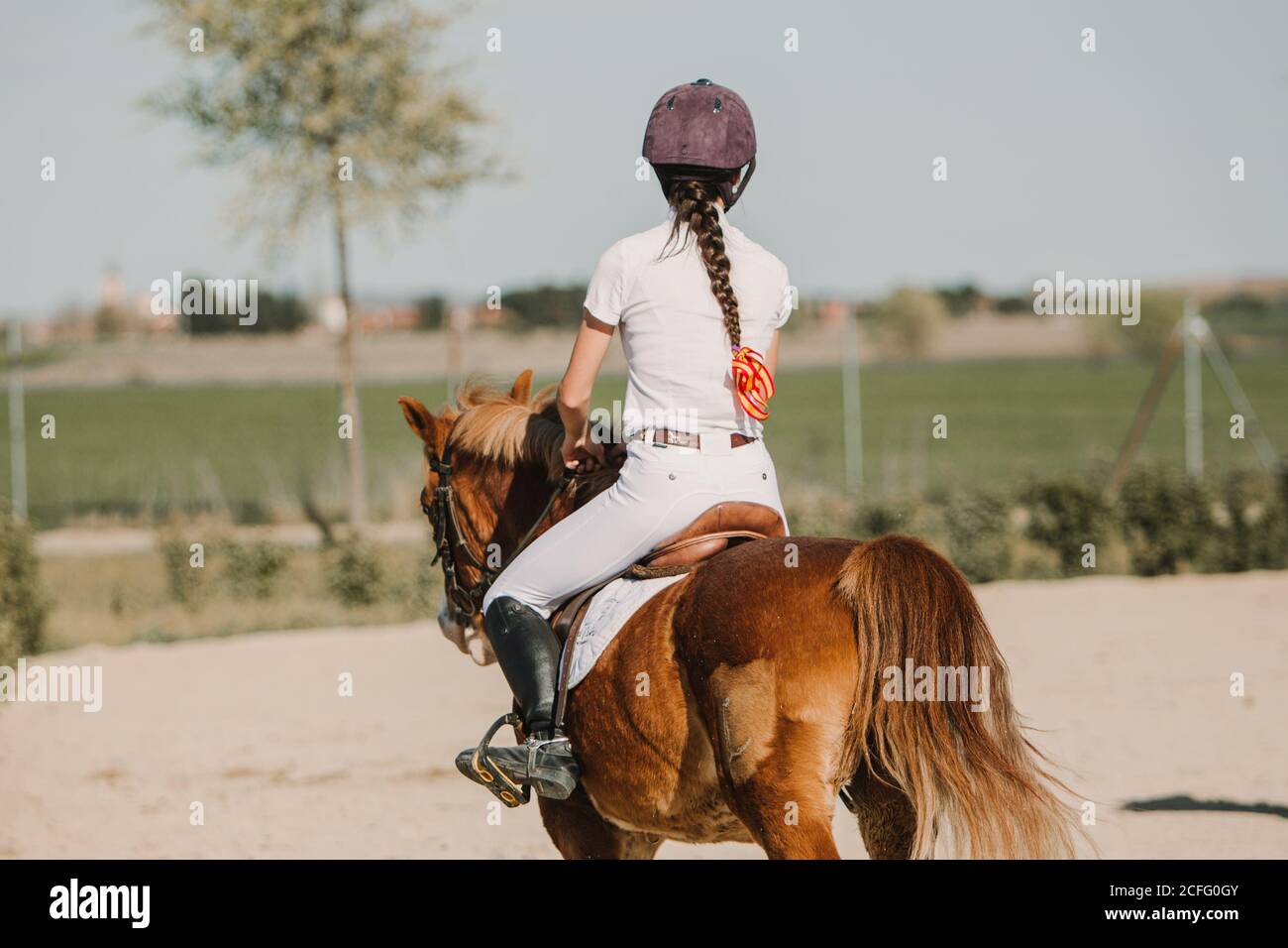Back View Of Girl On Horse High Resolution Stock Photography and Images ...