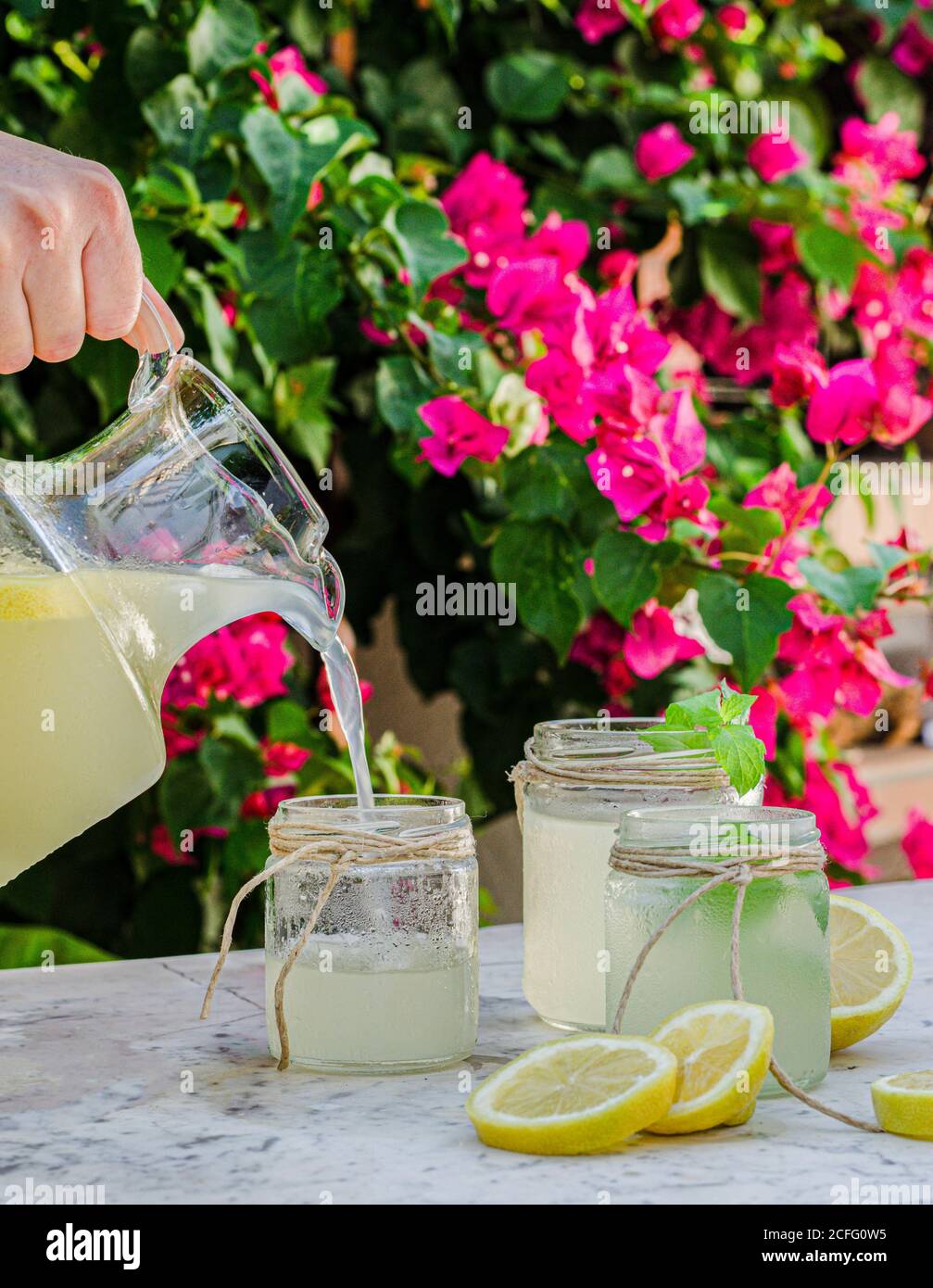 Lemonade Pitcher High Resolution Stock Photography and Images - Alamy