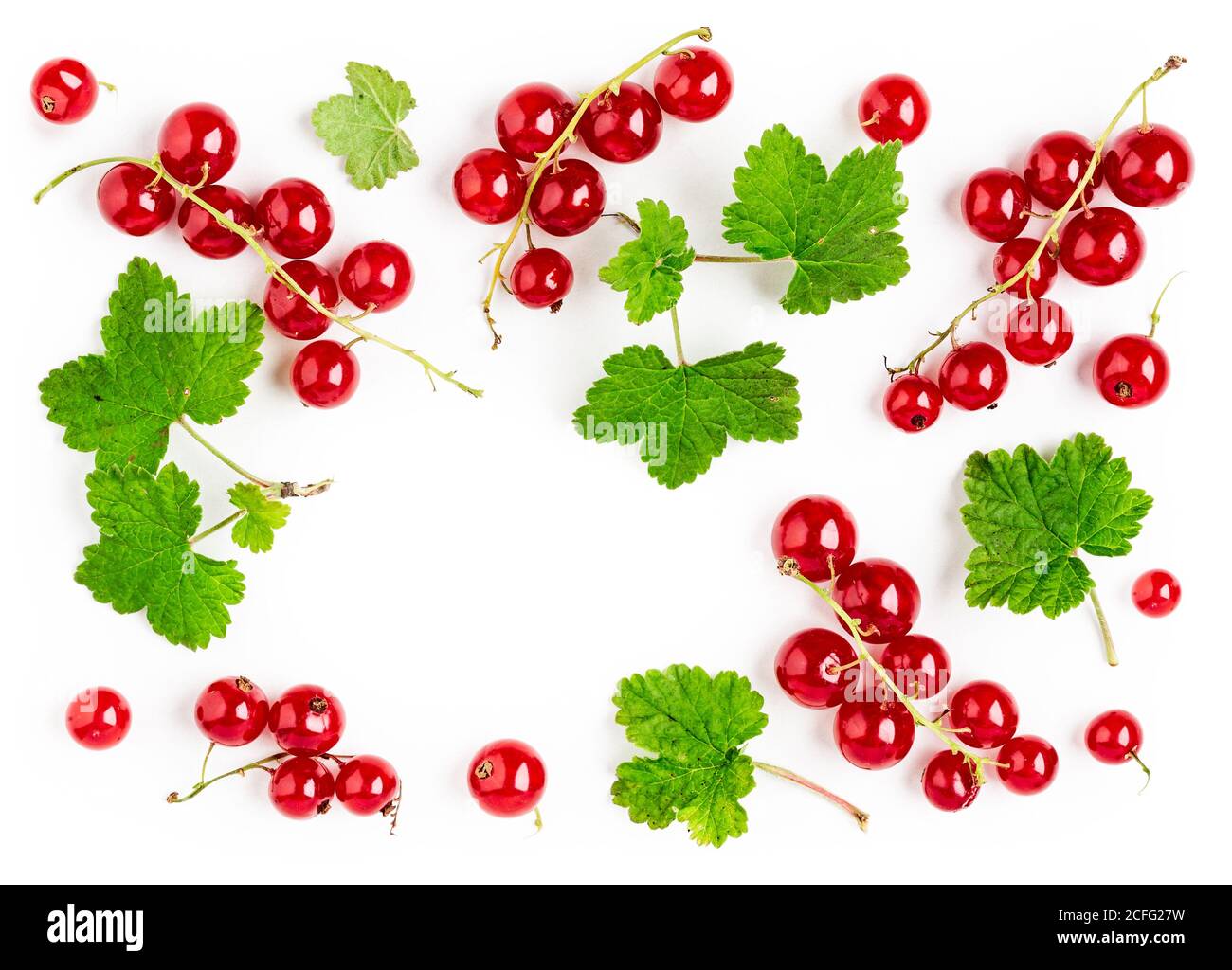 Red currant berries and leaves composition and creative frame isolated ...